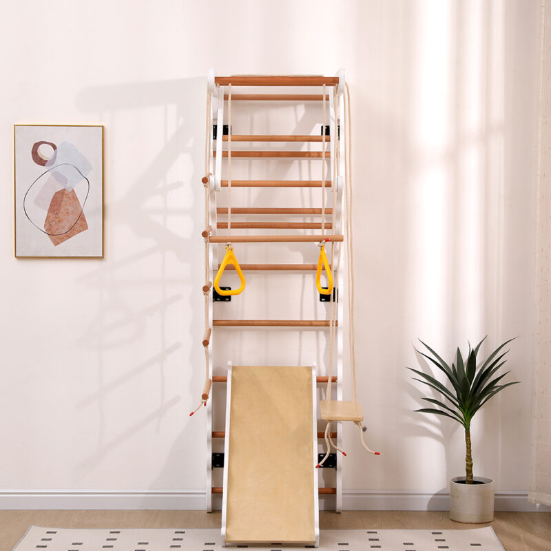 Funphix 8-in-1 Wooden Indoor Jungle Gym Swedish Ladder Playset ...